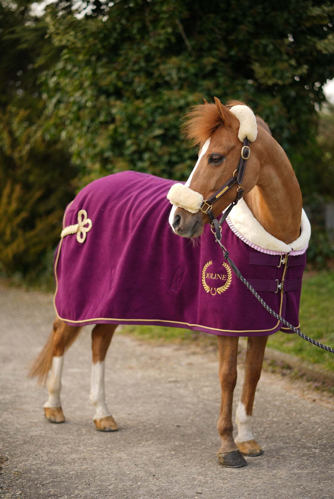 Pony accessoires | Joline – Joline.shop